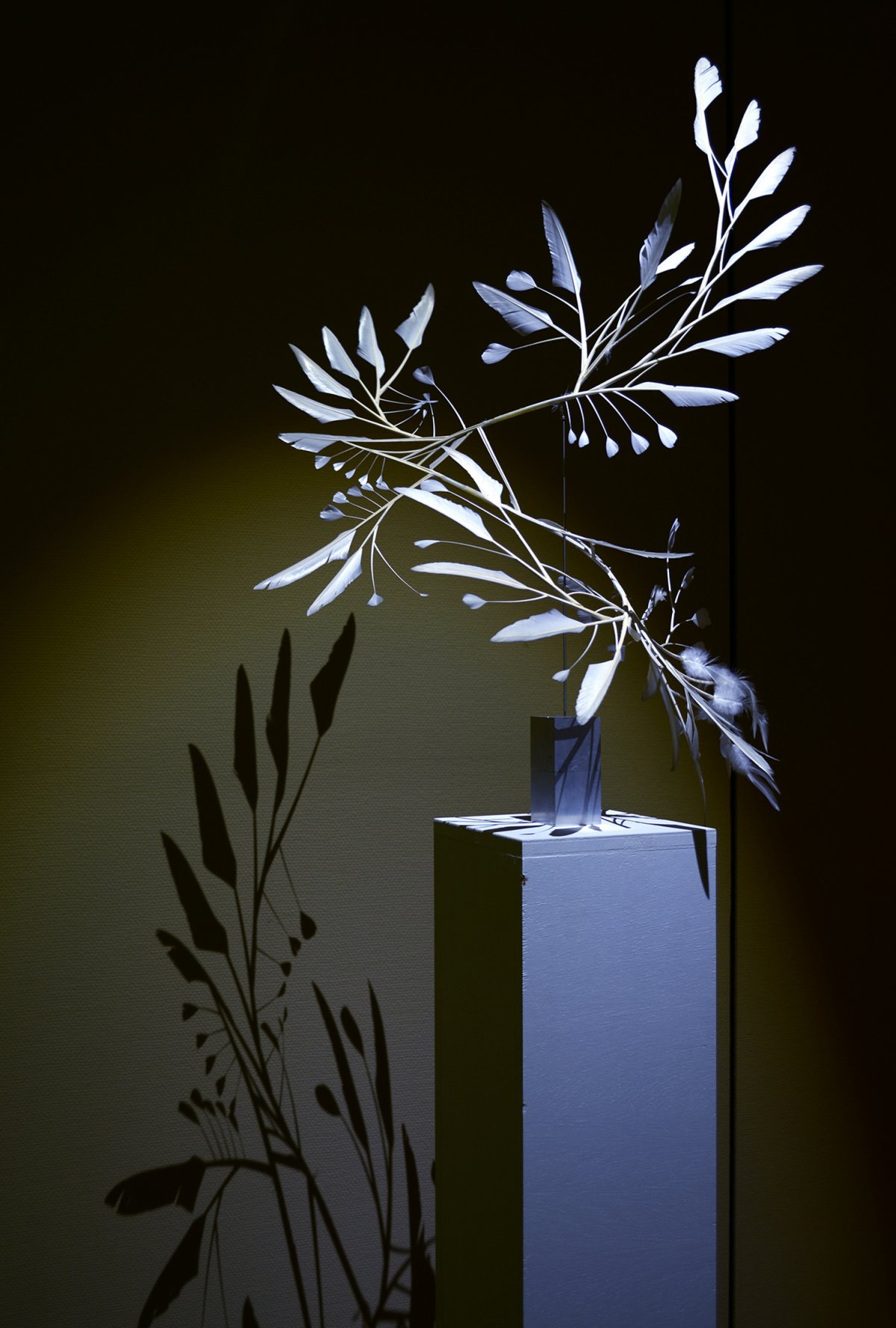 YINJISPACE - Japanese Artists x Kosei Komatsu